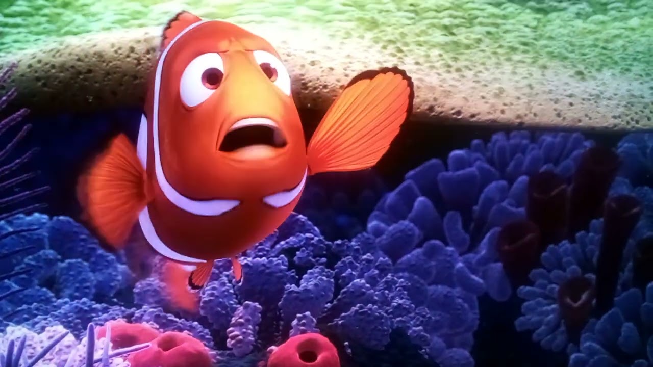 Nemo touches the boat and got lost - YouTube