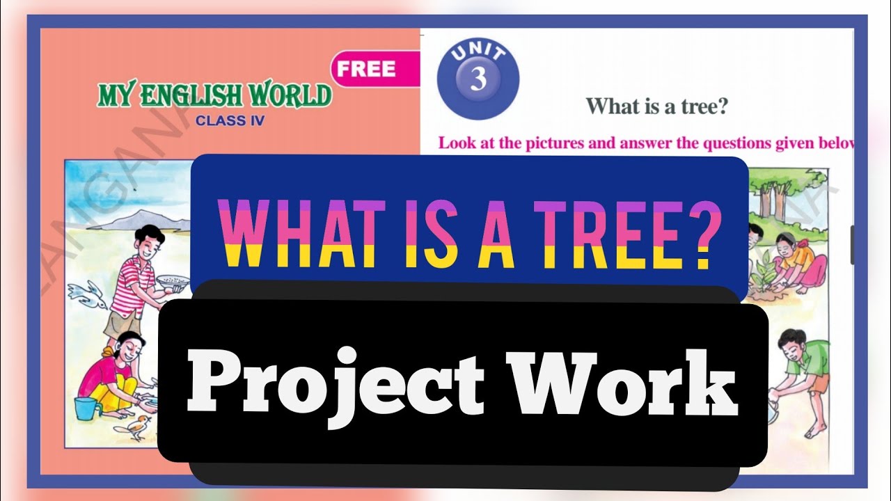 4th class English Unit-3 project work drawing a tree - YouTube