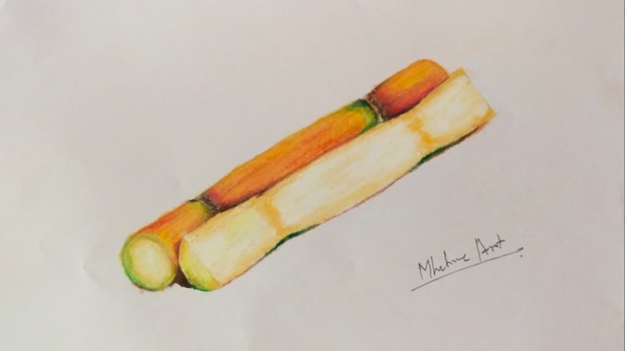 How To Draw A Sugarcane || How To Draw Sugarcane Step By Step || How To ...