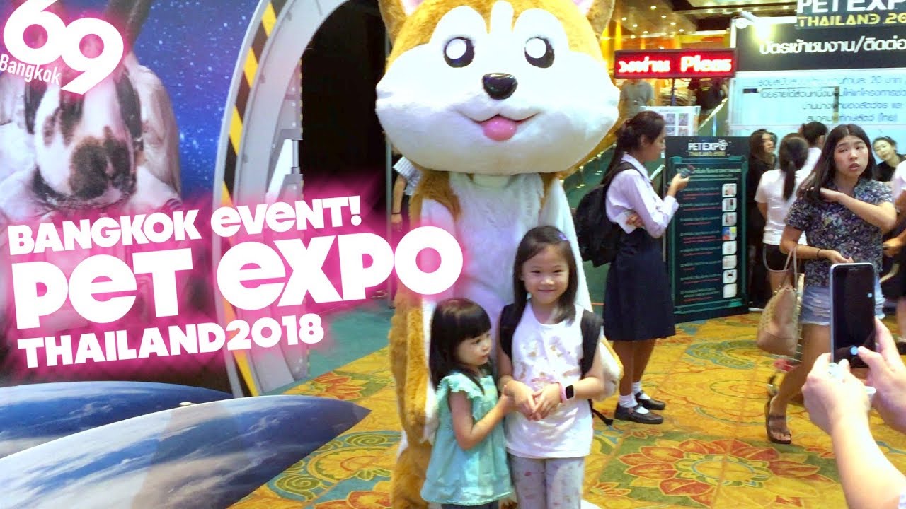Bangkok Events PET Expo 2018 QSNCC YouTube bangkok-events-pet-expo-2018-qsncc-youtube