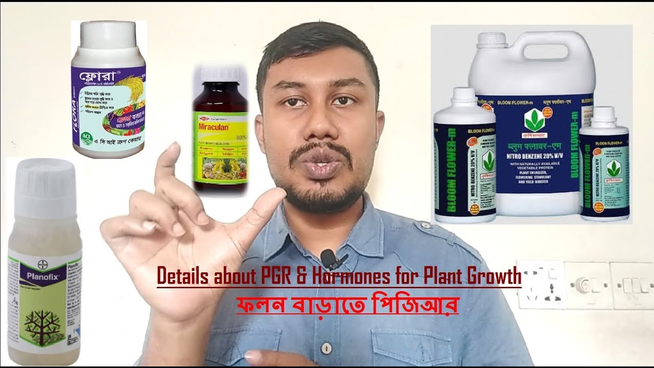 Details about PGR & Hormones for Plant Growth // ফলন বাড়াতে পিজিআর ...