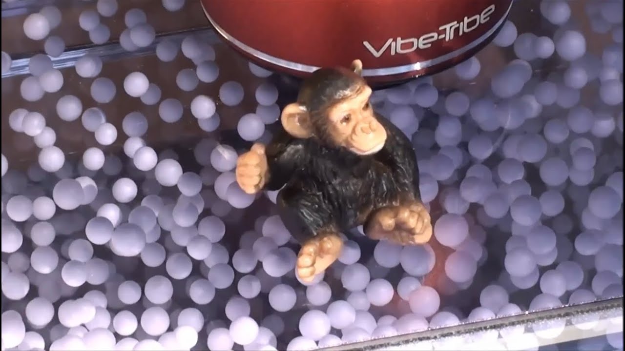 Vibe-Tribe Thor: 20W Resonance Power (Monkey-Dance) - YouTube