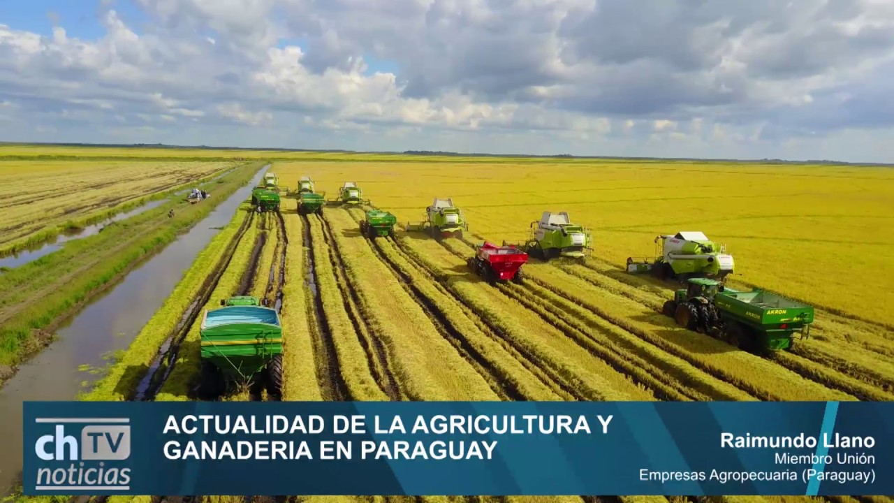 ACTUALIDAD Y PERSPECTIVAS DE LA PRODUCCIÓN AGRÍCOLA Y GANADERA EN ...