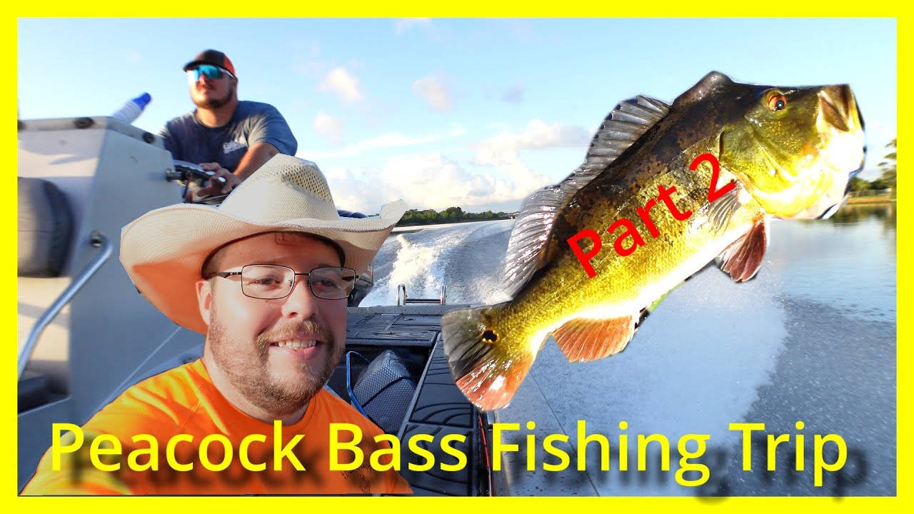 Peacock Bass Fishing Trip Part 2 - YouTube