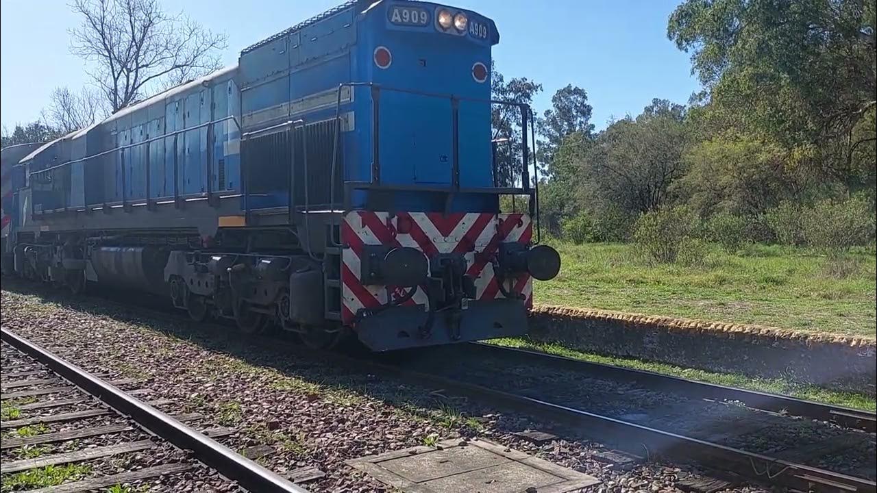 GT22 A909 CW Tren Haedo Temperley. Trenes Argentinos. - YouTube