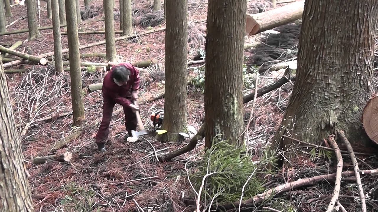 Super Lumberjack - YouTube