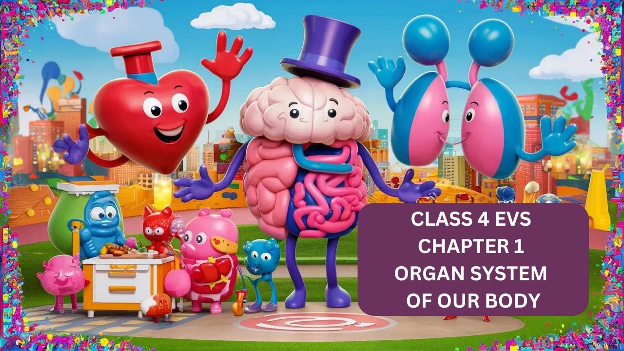 Class 4 EVS Chapter 1 Organ Systems of our body @kidsknowledgepoint ...