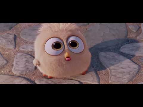 Angry Birds - 2016 TR Dublaj
