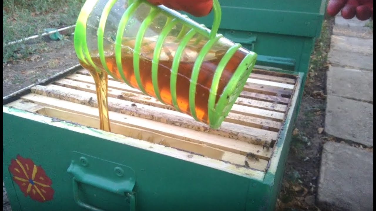 Completare hrană cu sirop de zahăr invertit (rețeta) - YouTube