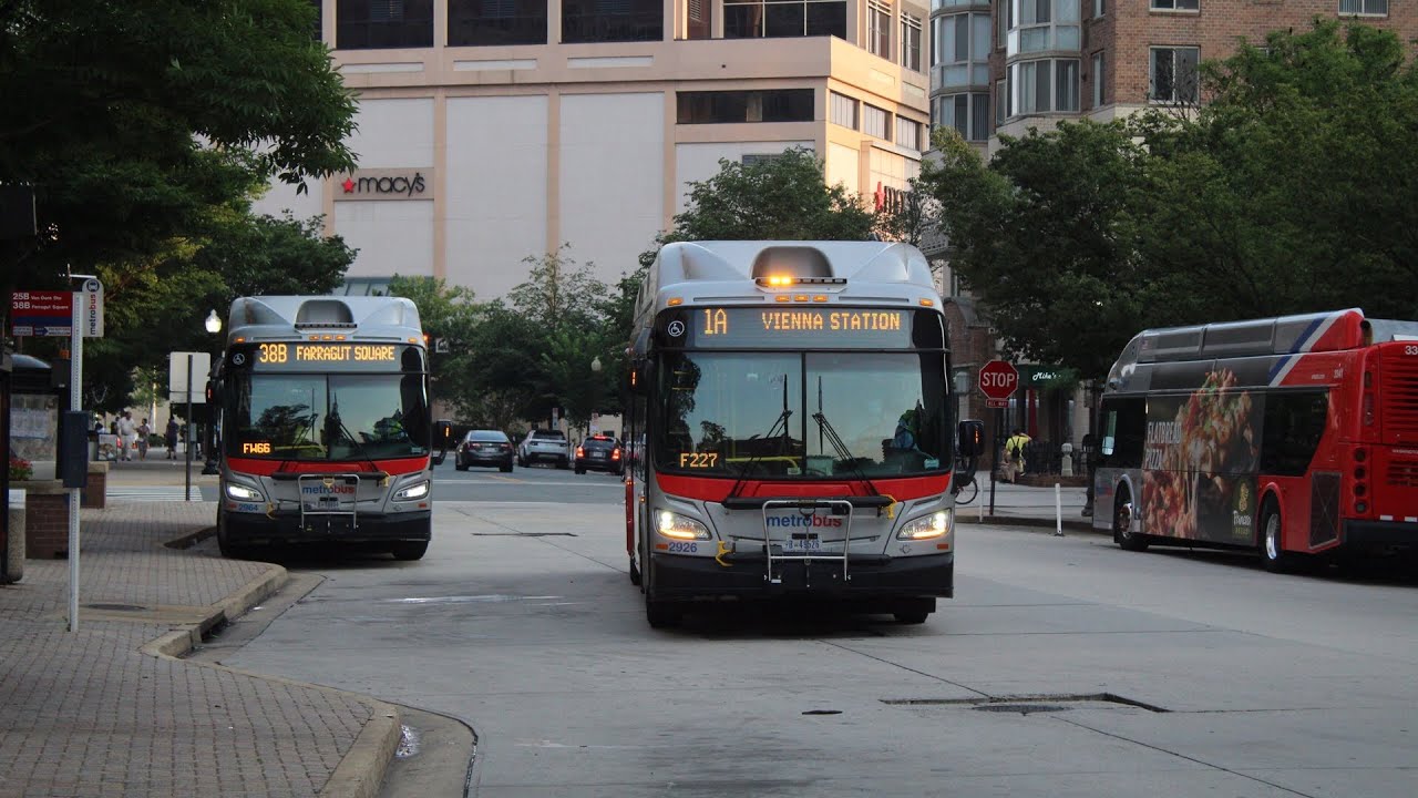 WMATA Metrobus and ART bus action in Arlington, VA - YouTube