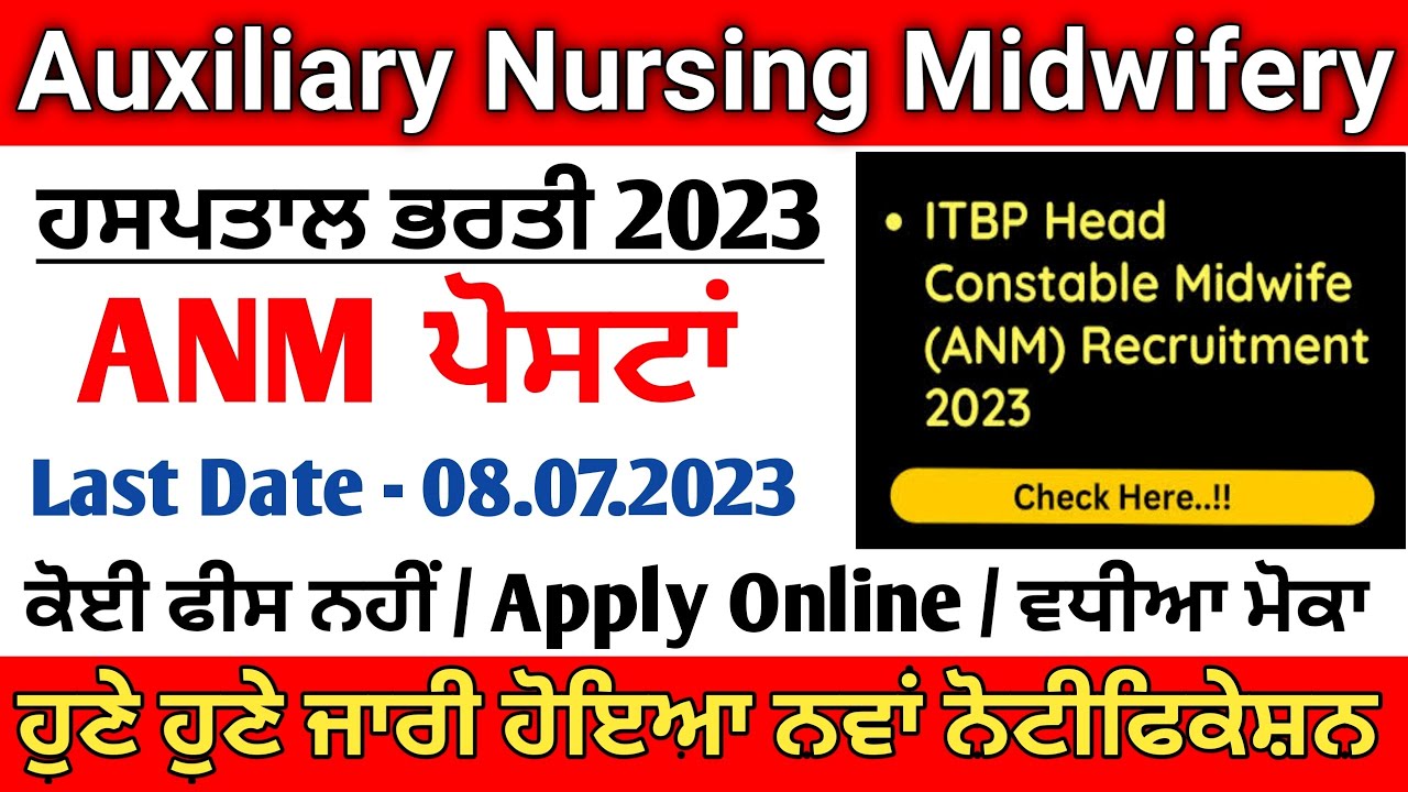 ANM Recruitment 2023 | ITBP Midwife ANM Jobs 2023 | Hospital Vacancies ...