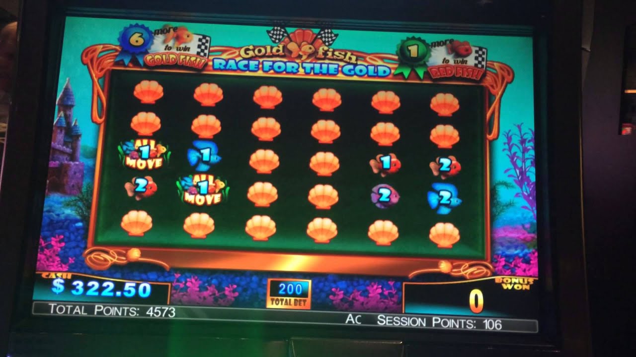 Goldfish Race for the Gold Slot Machine Bonus - Race for the Gold - Big ...