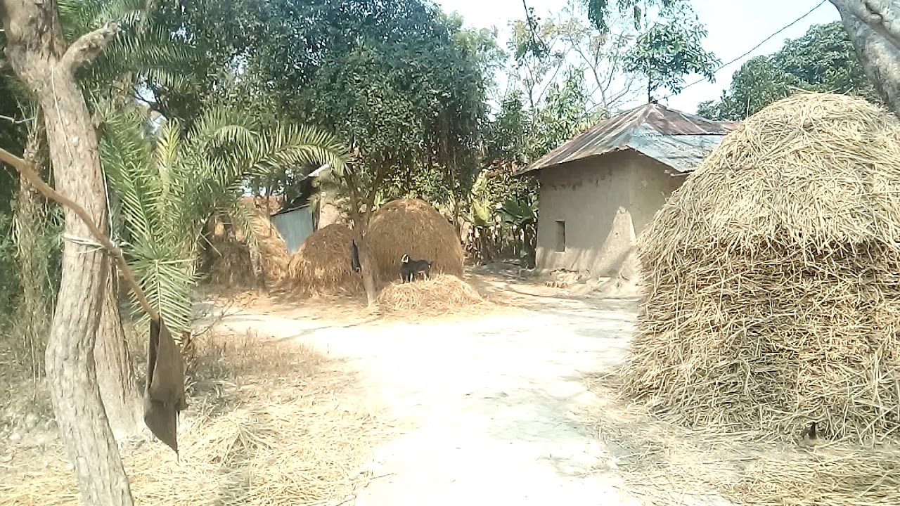 green screen background village 2 - YouTube