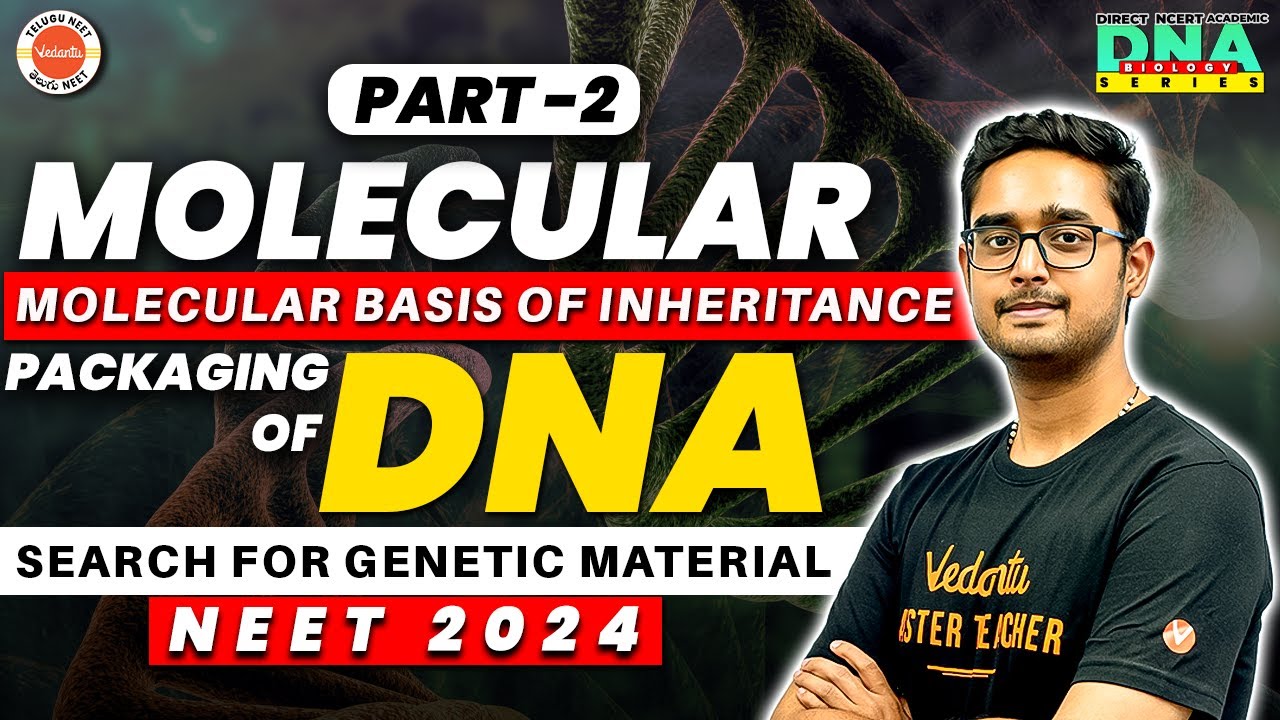 Molecular Basis of Inheritance Class 12 Chapter 6 | Part 2 | Structure ...