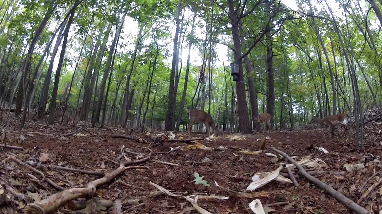 Reverse Angle Shot YouTube reverse-angle-shot-youtube