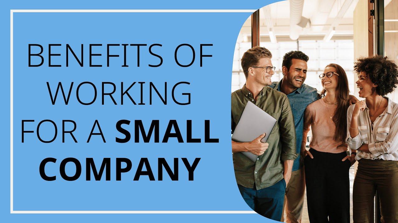 Advice for jobseekers: the benefits of working for a small company ...