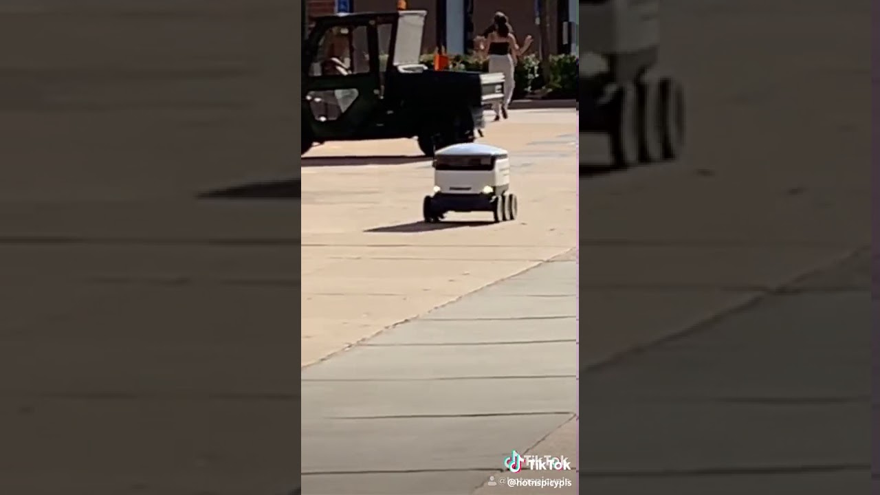 Little robot delivering food tik tok meme - YouTube
