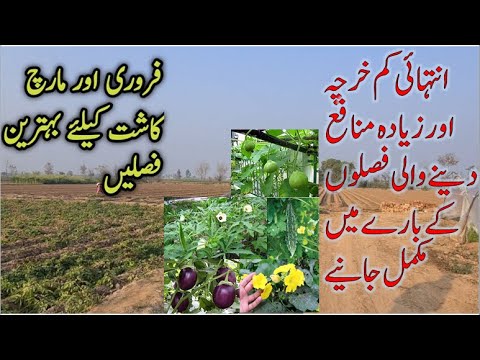What to grow in February & March, March vegetable farming/What to plant ...