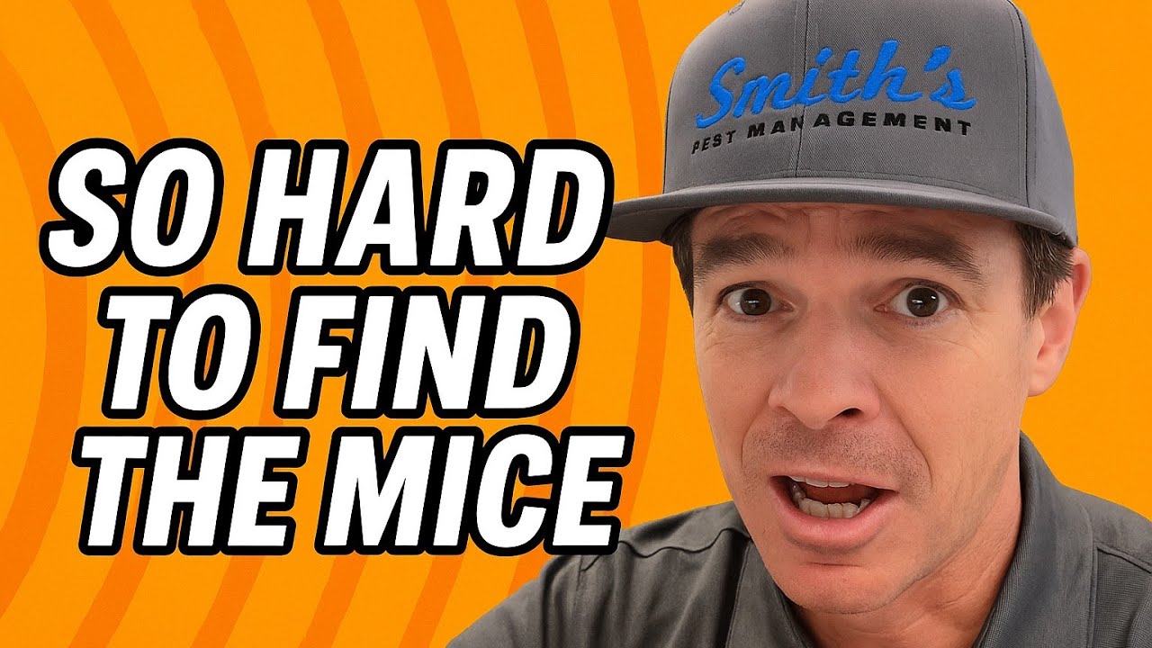 Got Mice? They are everywhere and nowhere all at once! - YouTube