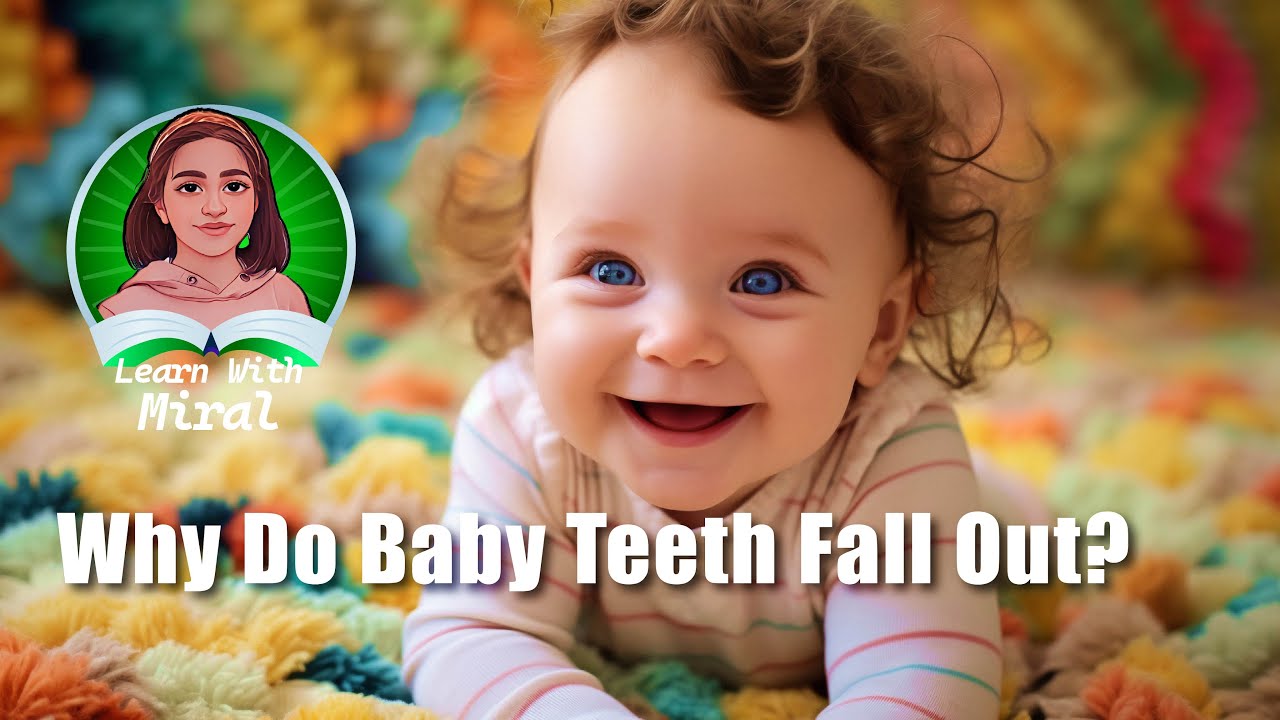 Why do your Baby Teeth fall out? 🦷 Baby Teeth Story! #babyteeth - YouTube