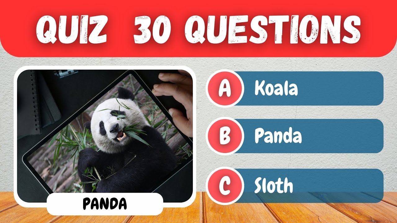 Animal Quiz 30 Questions And Answers About Animals YouTube animal-quiz-30-questions-and-answers-about-animals-youtube