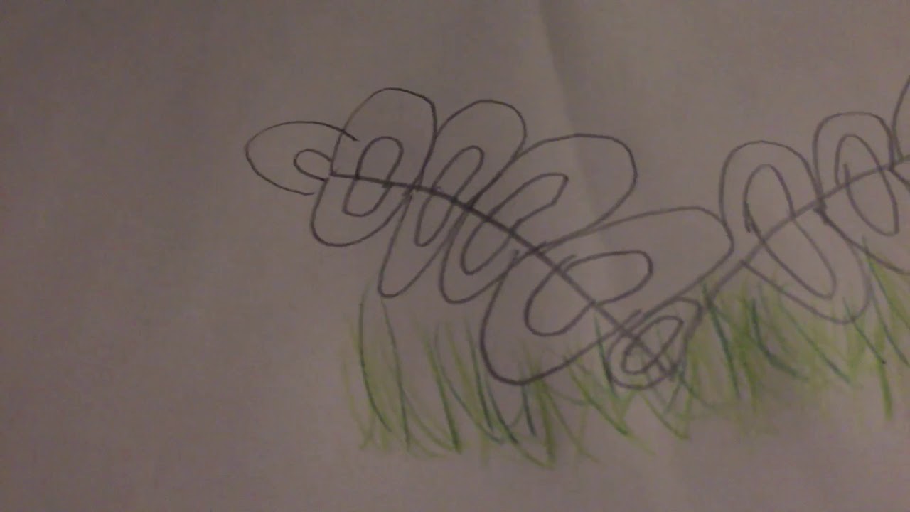 Indigo Plant drawing tutorial - YouTube