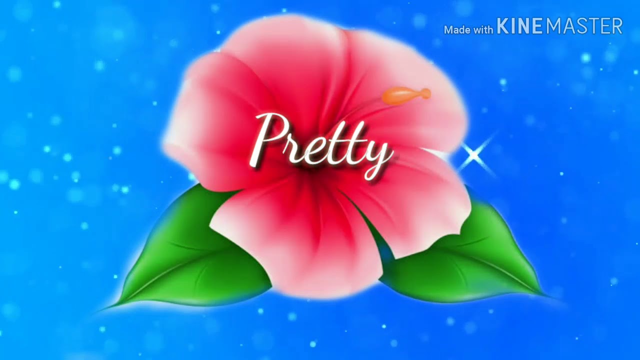 My New Intro vLog for Pretty - YouTube