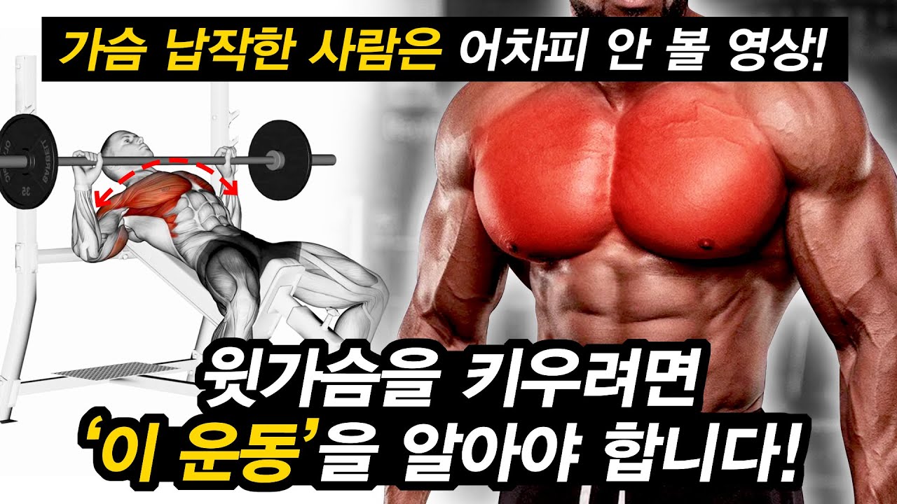 일반인이 윗가슴과 가슴근육을 동시에 키우는 가장 빠른 방법 Youtube