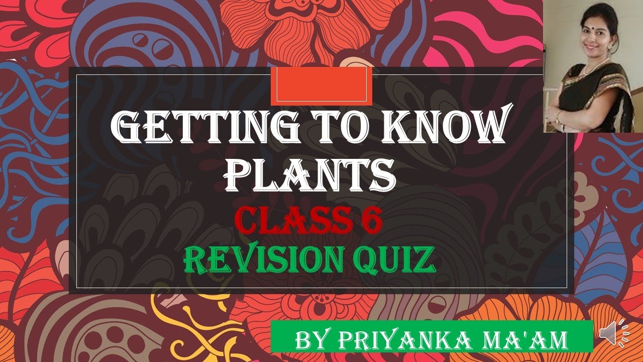 Getting to Know Plants, Revision Quiz, MCQ, Chapter 7, Class 6, Science ...