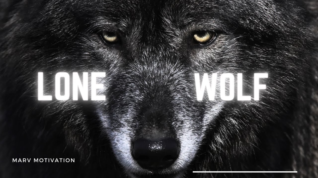 THE LONE WOLF - motivational speech for all those fighting battles ...