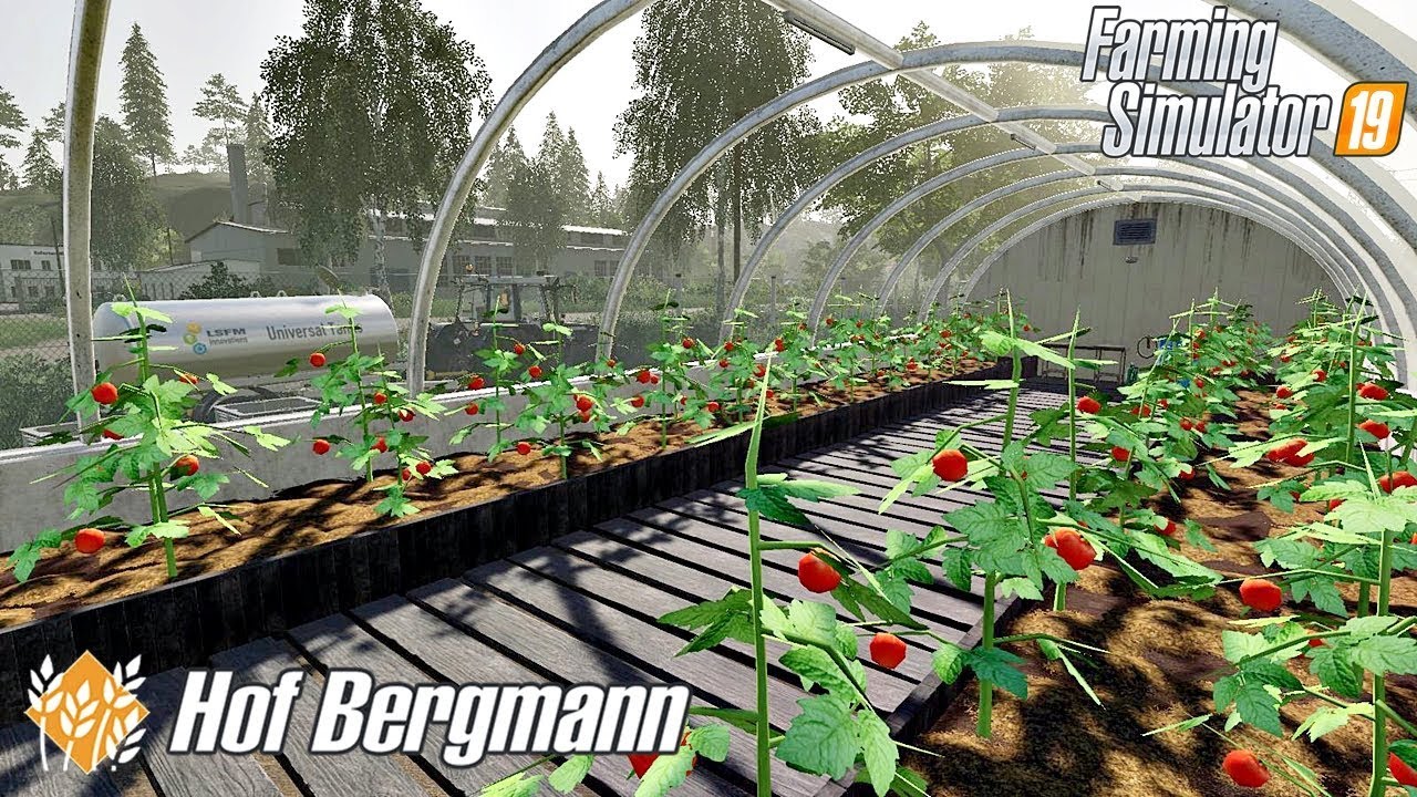 Uprawa warzyw pod folią. - Hof Bergmann FS19 ☆ Farming Simulator 19 ...