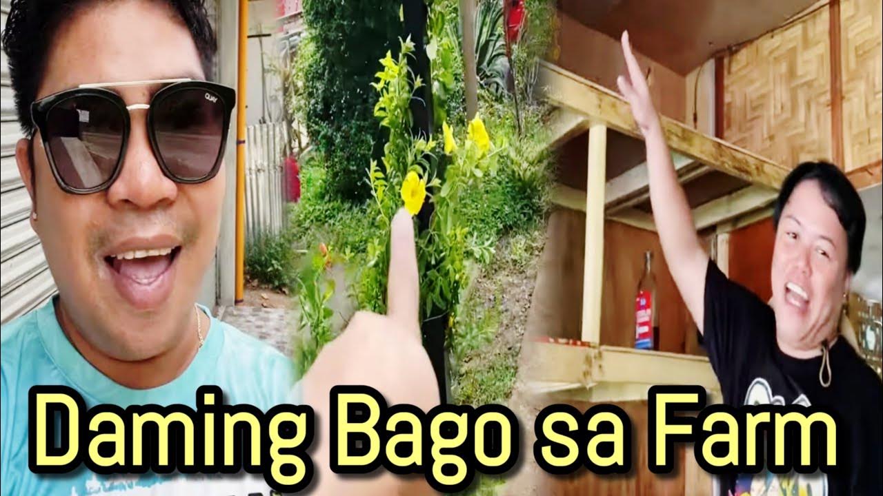 Daming bago sa farm ni @BrendaMageOfficial ganda na para sa mga bisita at sa kitchen! - YouTube