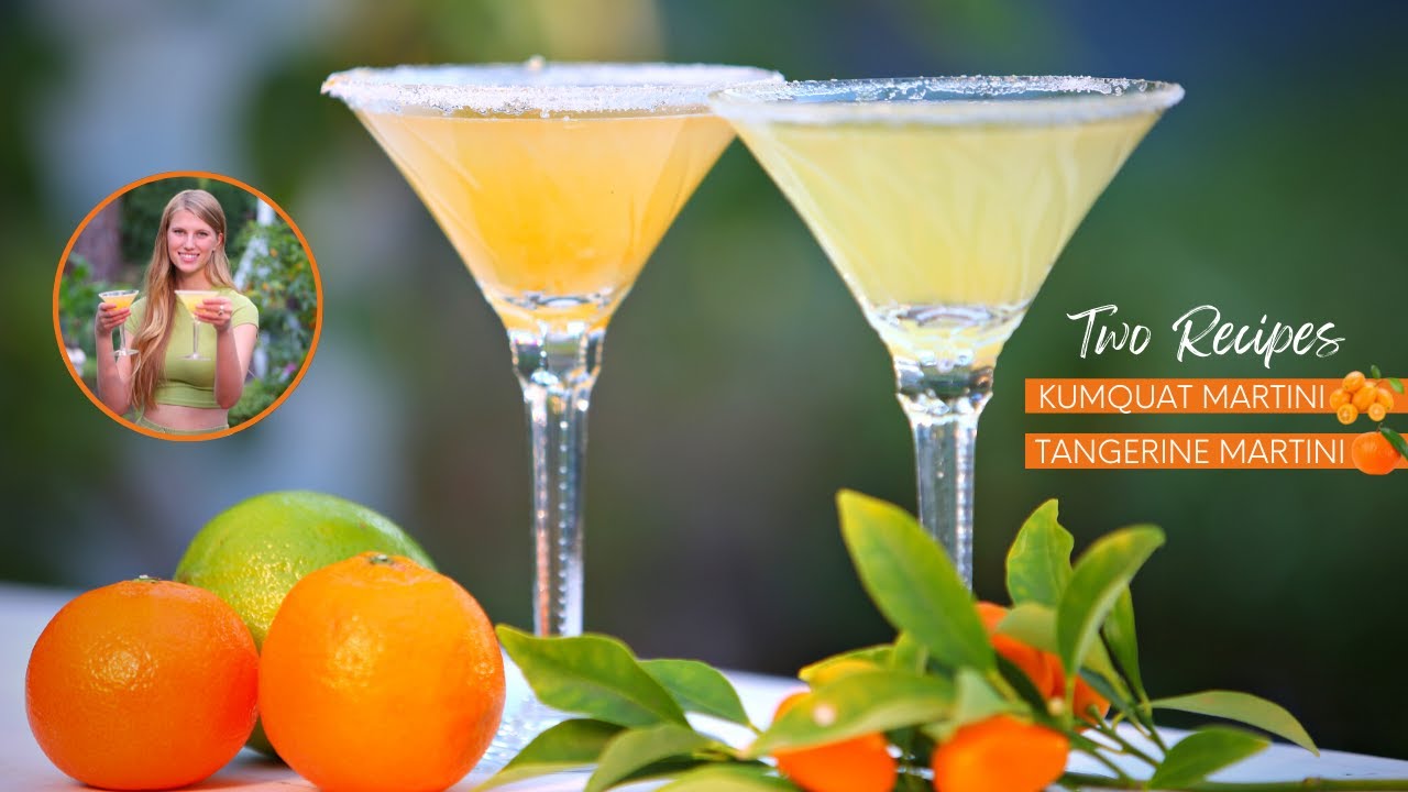 Martini Cocktail | 2 Recipes | Kumquat Martini and Mandarin Orange ...
