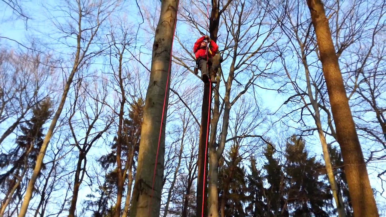 Rope ascend - frog walker system - Petzl Croll plus hand ascender and ...