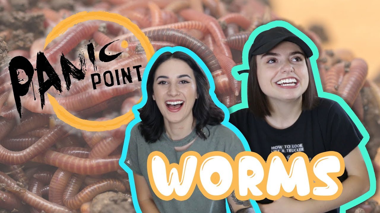 Ultimate Worm Challenge w Amy Ordman! | Panic Point! Eps. 1 - YouTube