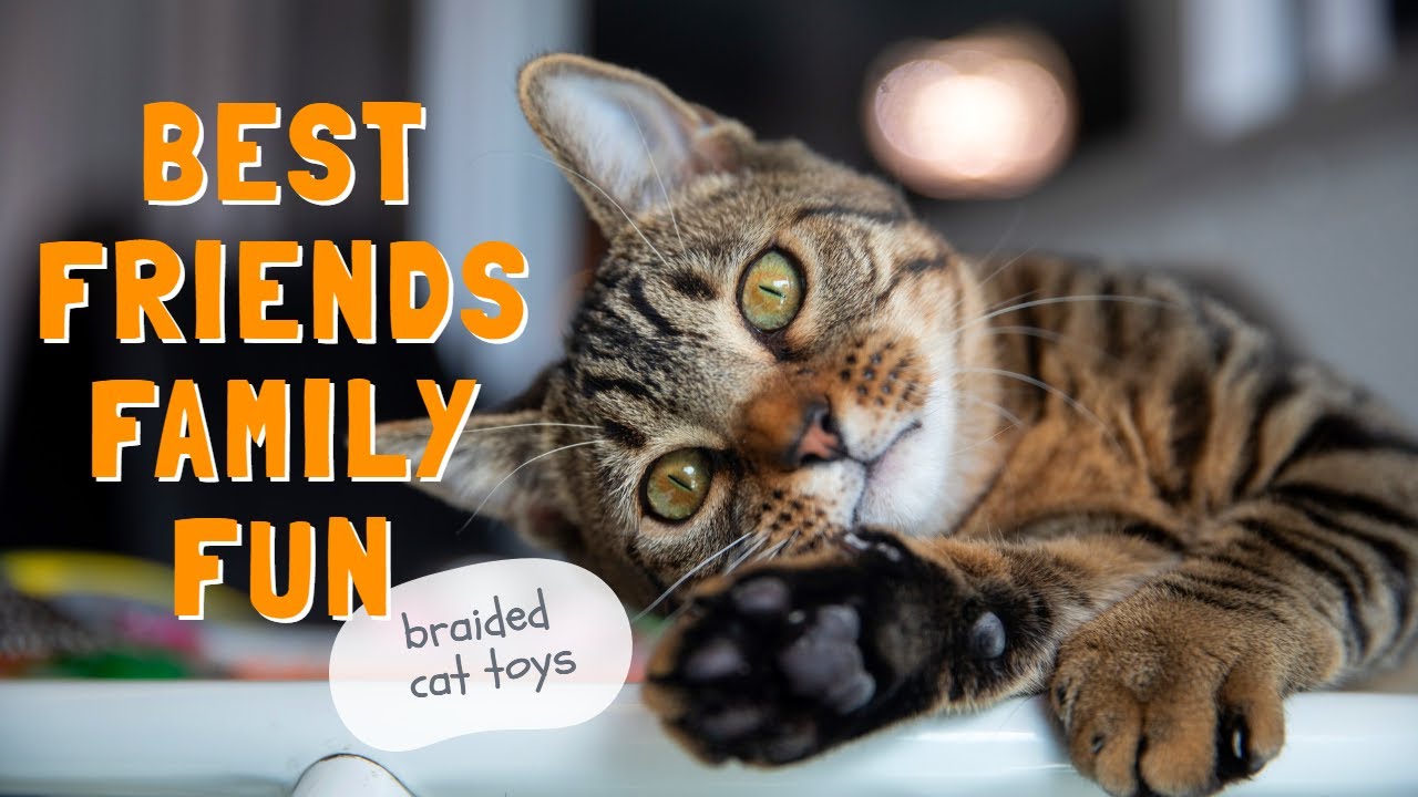 Family Fun! DIY Braided Cat Toy - YouTube