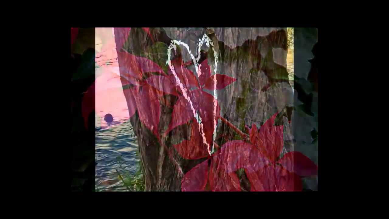 " Ich liebe Dich" sagen - Peter Weißgerber, Pfälzer Liedermacher - YouTube