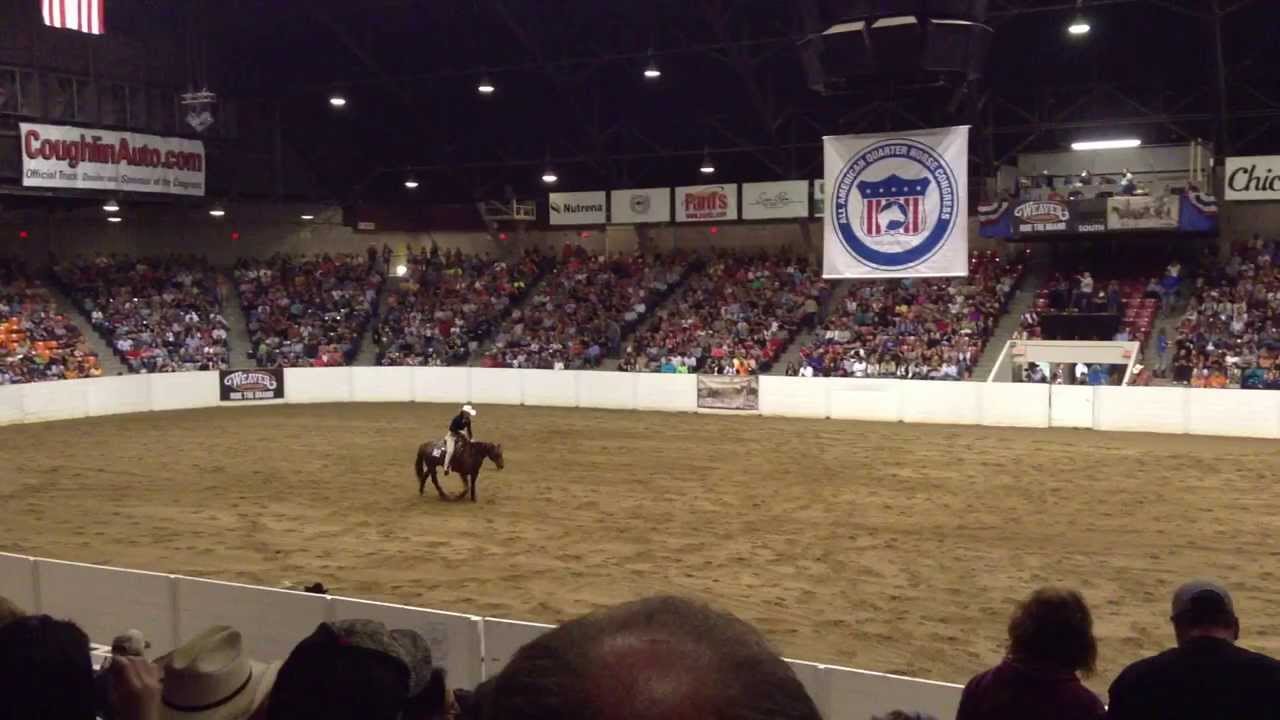 REIGNING HORSE RIDER DANIELLE BOLDUC - 2013 CONGRESS FREESTYLE - YouTube