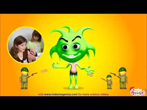 Germs Movie for Kids Virus & Bacteria Introduction - YouTube