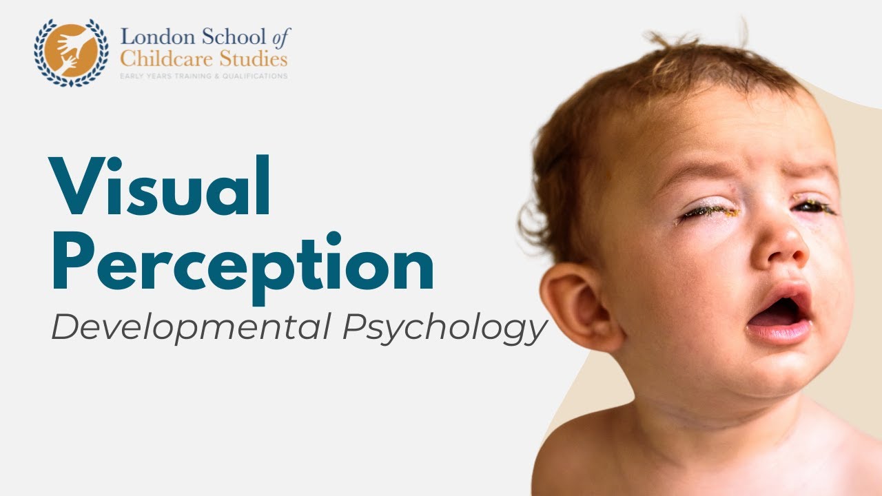 Developmental Psychology: Visual Perception - YouTube