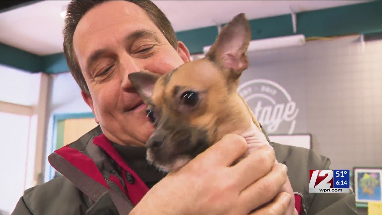 'Everybody loves Joey': RI dog's disability doesn't stop him from ...