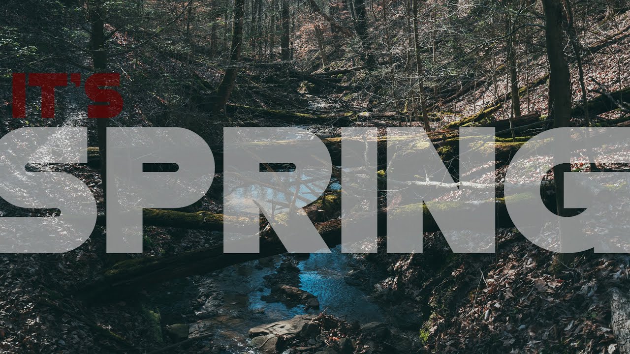 Spring Has Sprung - YouTube