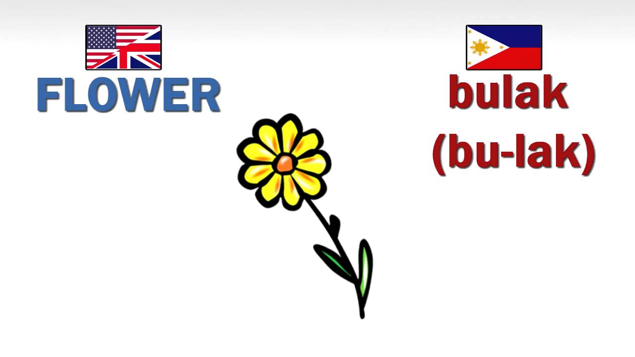 How to speak Ilonggo/Hiligaynon - Nature (Part 2) - YouTube