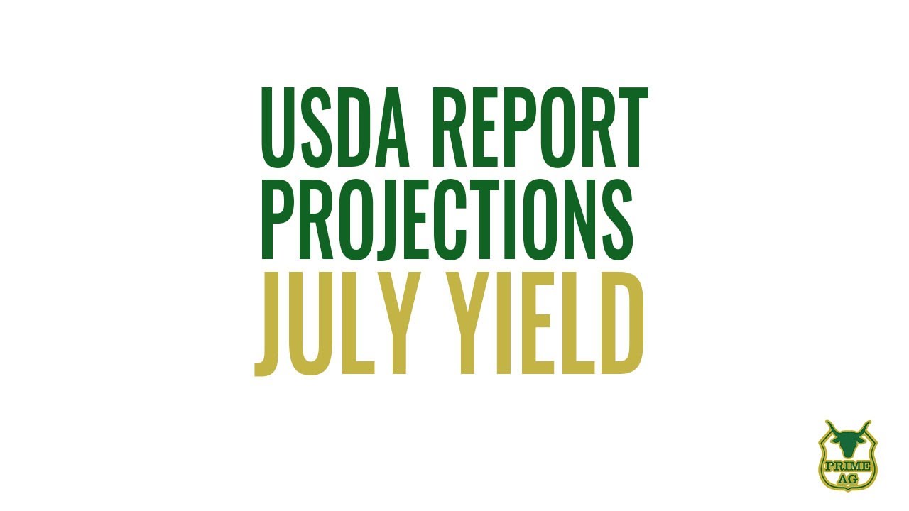 YIELD Projections | JULY crop report - YouTube