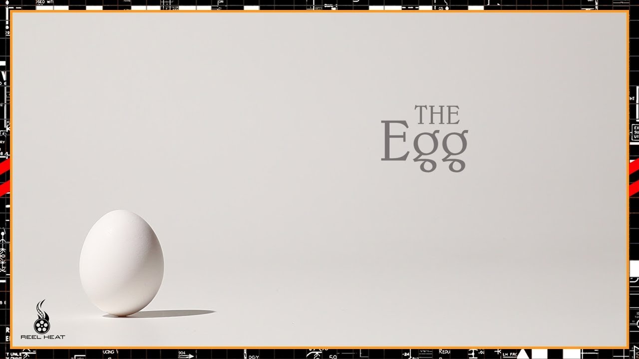 EXPERIMENT - The Egg // Reel Heat - YouTube