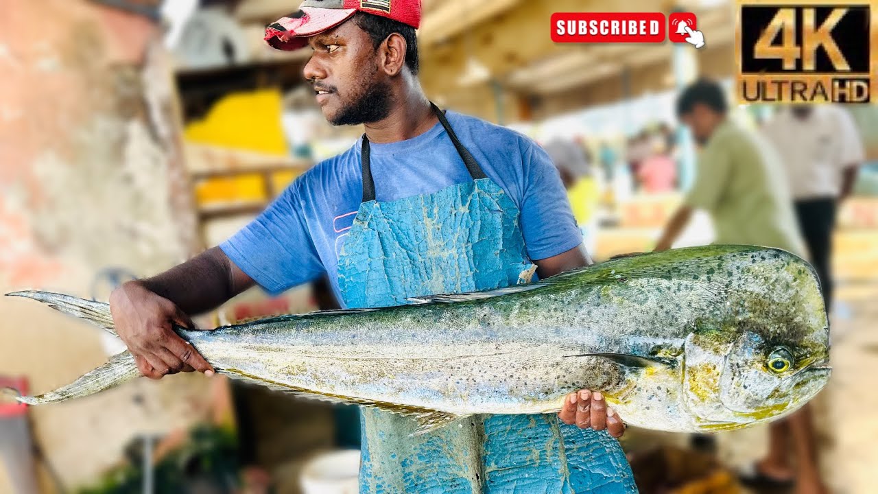 🐬 Amazing! Dolphin Fish (Mahi-Mahi) for Cooking! 🍽️ | Step-by-Step ...