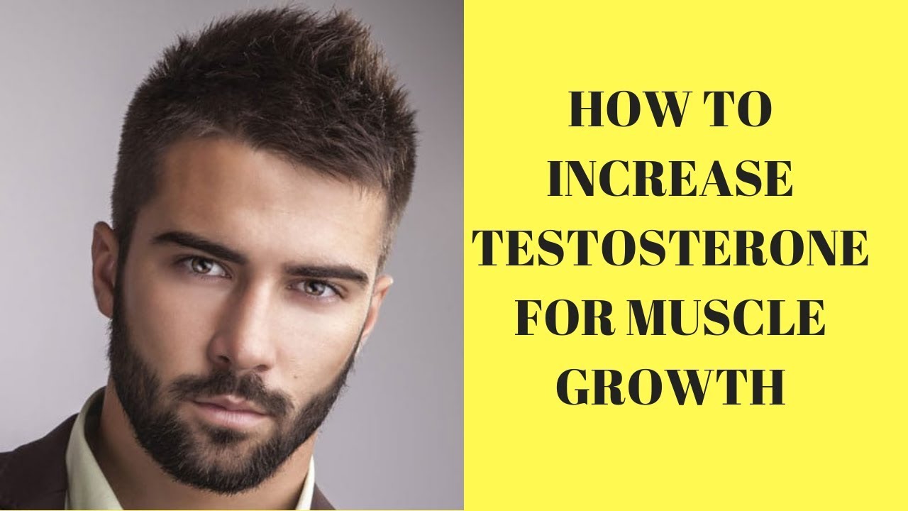 how to increase testosterone for muscle growth - YouTube