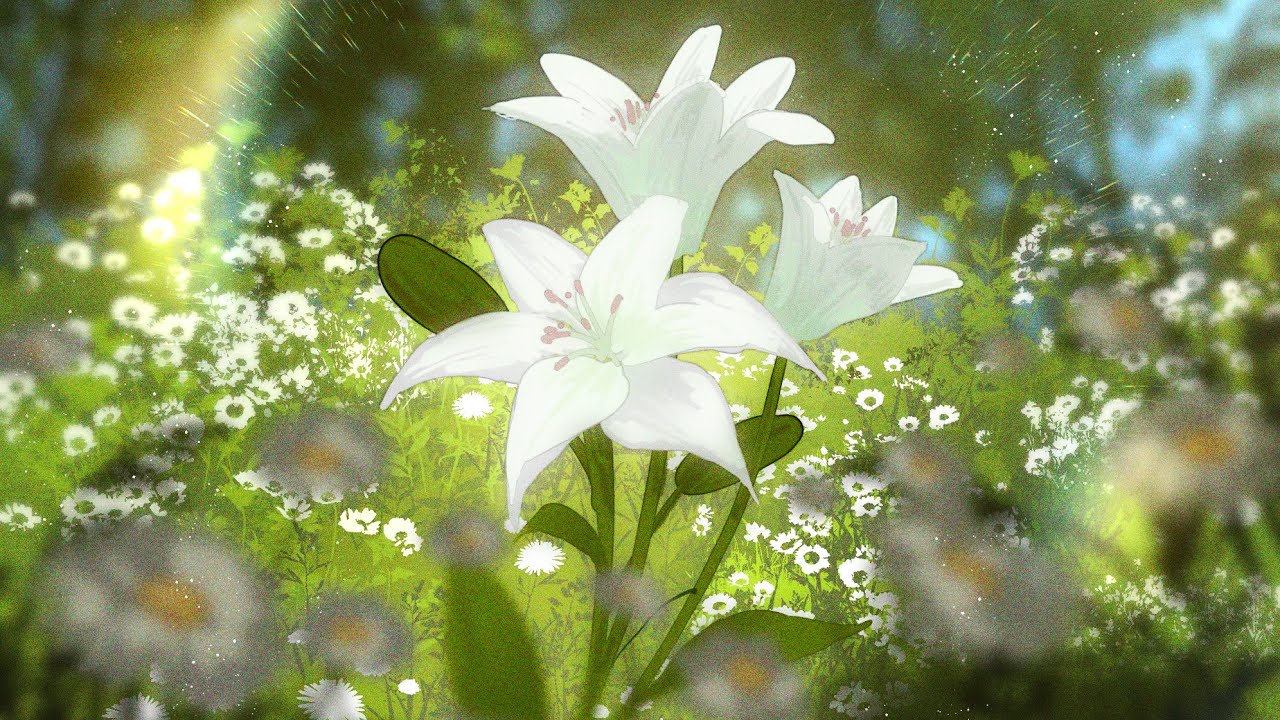 Yourein.nn - you're flower w//@GORGUY246 - YouTube