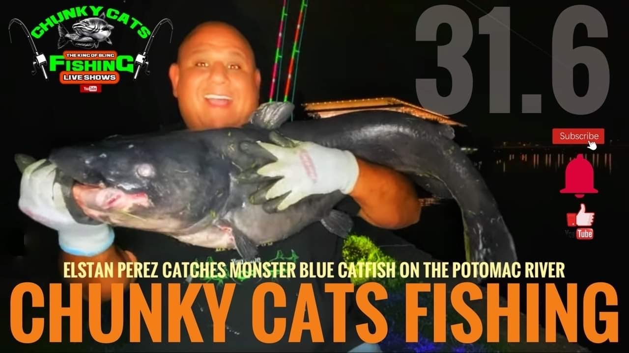🔴Chunky Cats 4:08:00 Live Fishing Show featuring Ugly Stik Catfish ...
