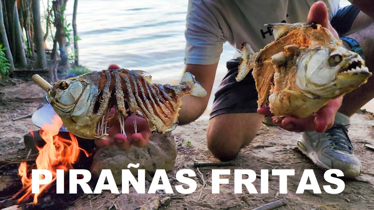 PIRAÑAS FRITAS Y TORTUGAS, "Pesca y Cocina", recorrida isleña PESCA ...